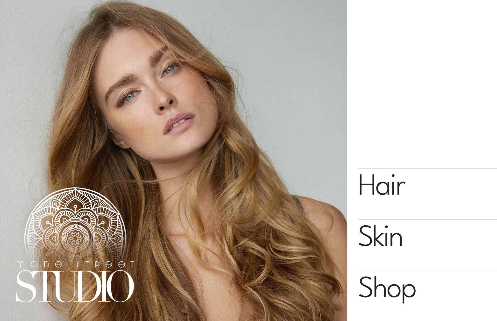 Services | Mane Street Studio