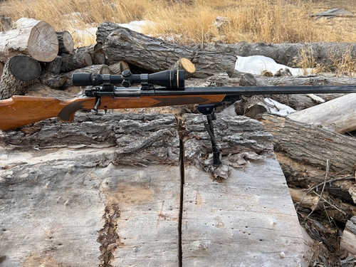 Winchester model 70 22-250 | Freedom Tactical