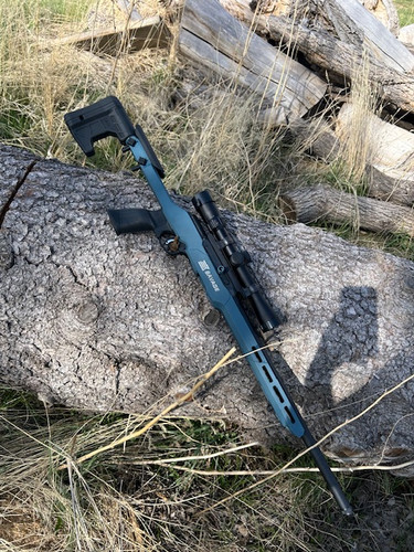 Savage model A22 22LR target model | Freedom Tactical