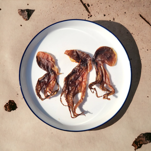 Octopus Jerky Dog Treats - Exotic and Nutritious