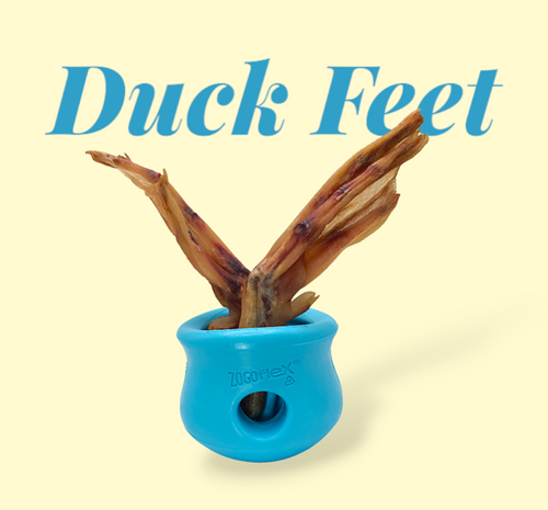 Duck Feet Dog Treats – Natural & Nutritious Chews
