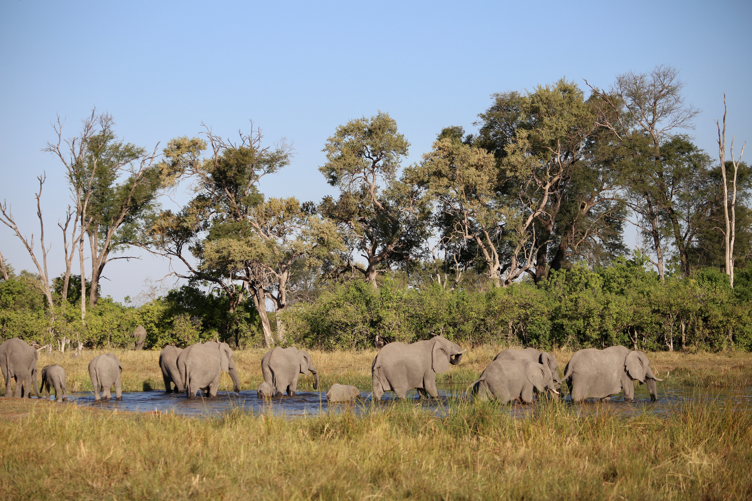 Botswana | Pudu Puda Travel
