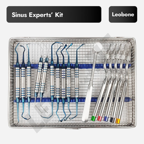 Sinus Experts Kit | Leobone