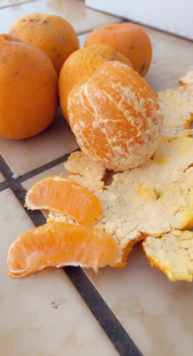 Clementine | Wake Farms