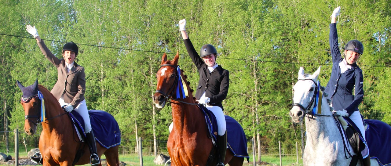 Hem | vallentunaridskola