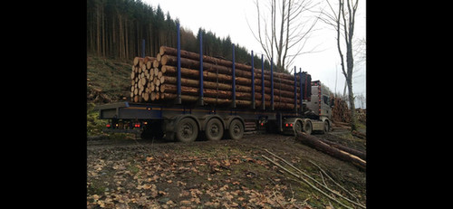 Full Artic Load of Firewood Lengths | Dgm Transport