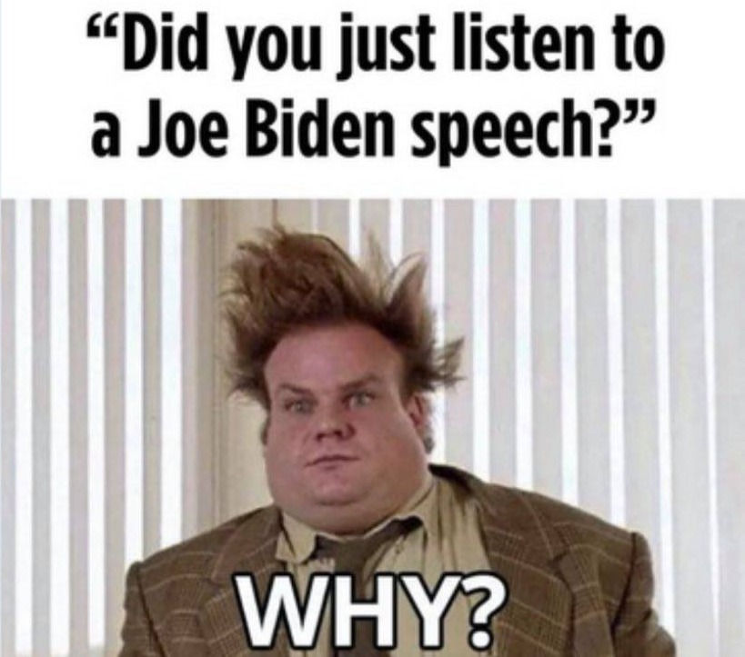 Funniest Things We Saw Today