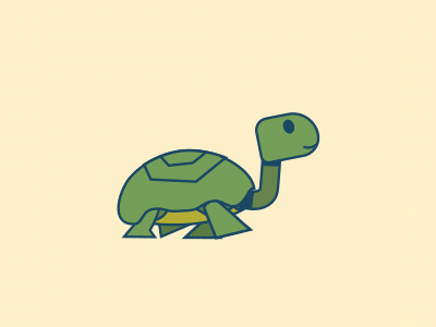 نحو هدفك كالسلحفاة | Toward your Goals like a Turtle