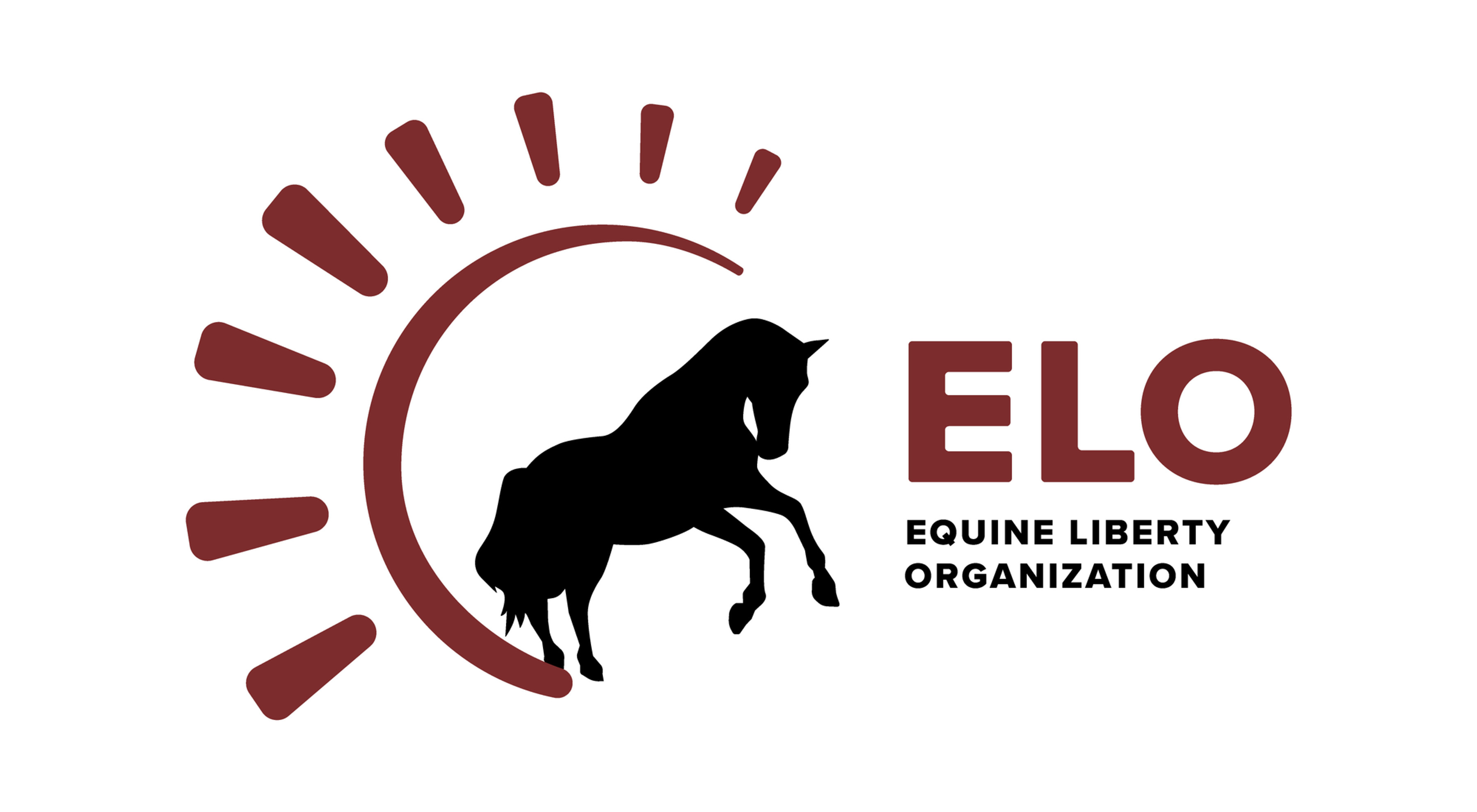 ELO Virtual Competition - Bridleless | Equine Liberty Organization