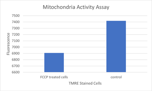 Mitochondria Activity Assay Kit | Signosis