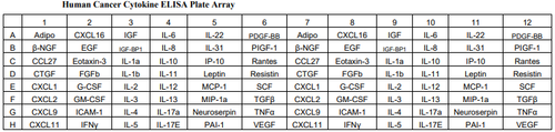 Human Cancer Cytokine ELISA Plate Array (Colorimetric) | Signosis
