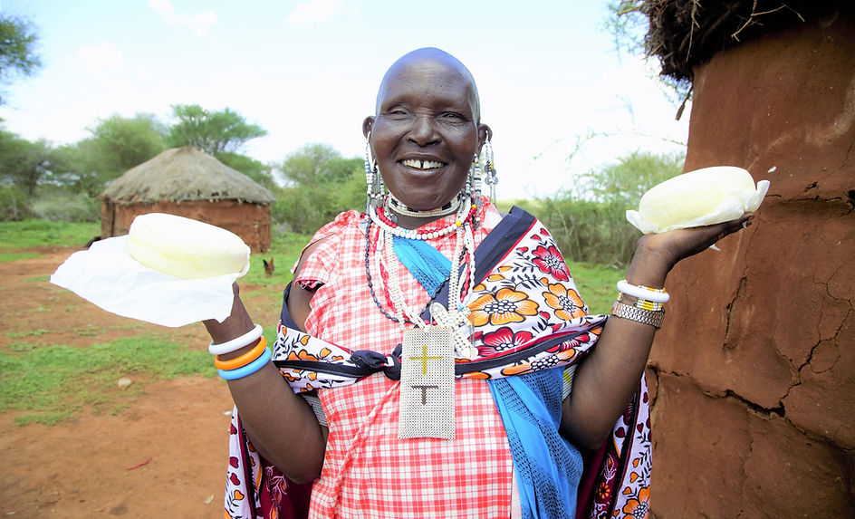 Maasai Cow Milk | Maasai Dairy | Tanzania
