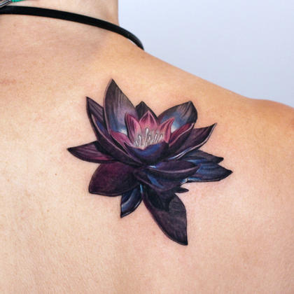 Portfolio | Crow & Pitcher