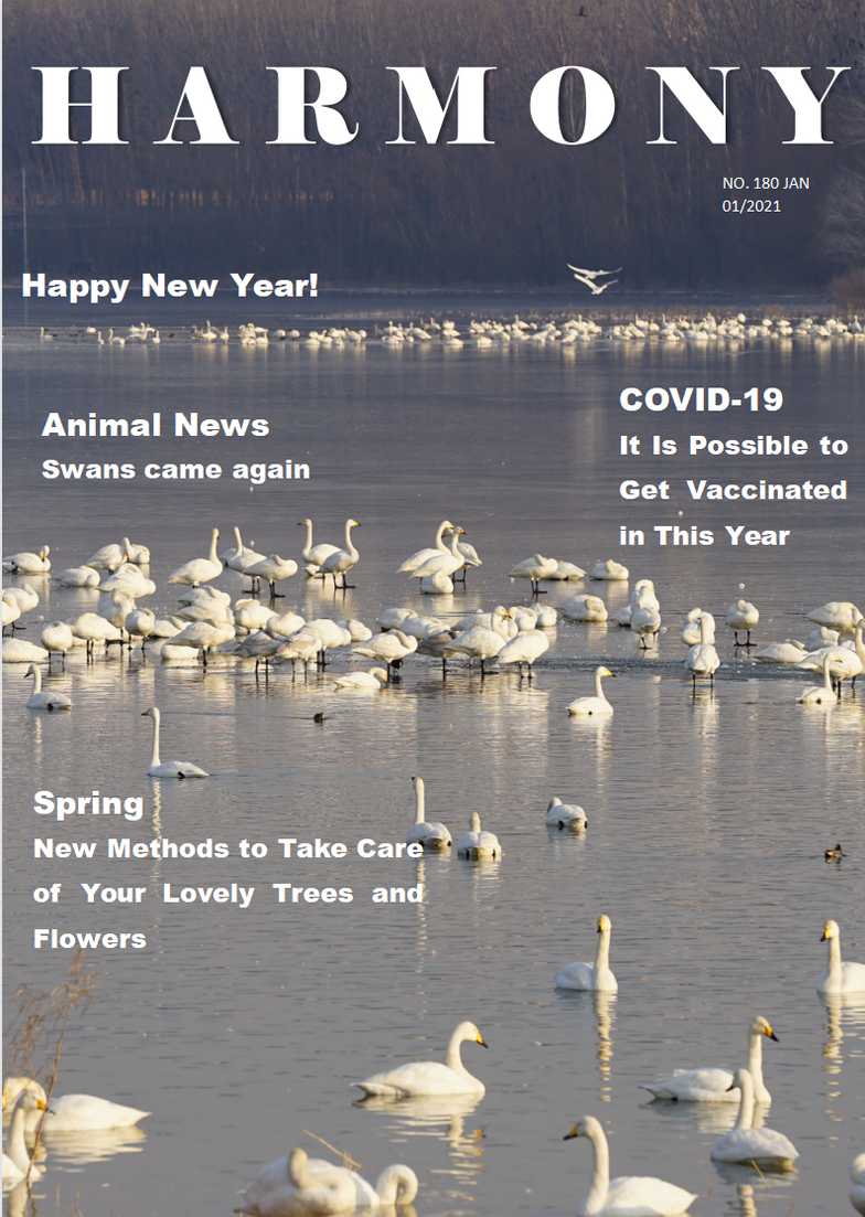 MAGAZINE COVER | Group Assignment