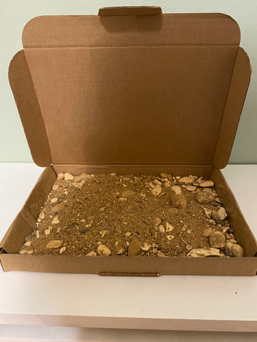 Mini Box Of Gold - Scottish Gold Paydirt - Guaranteed Gold | Strike it ...
