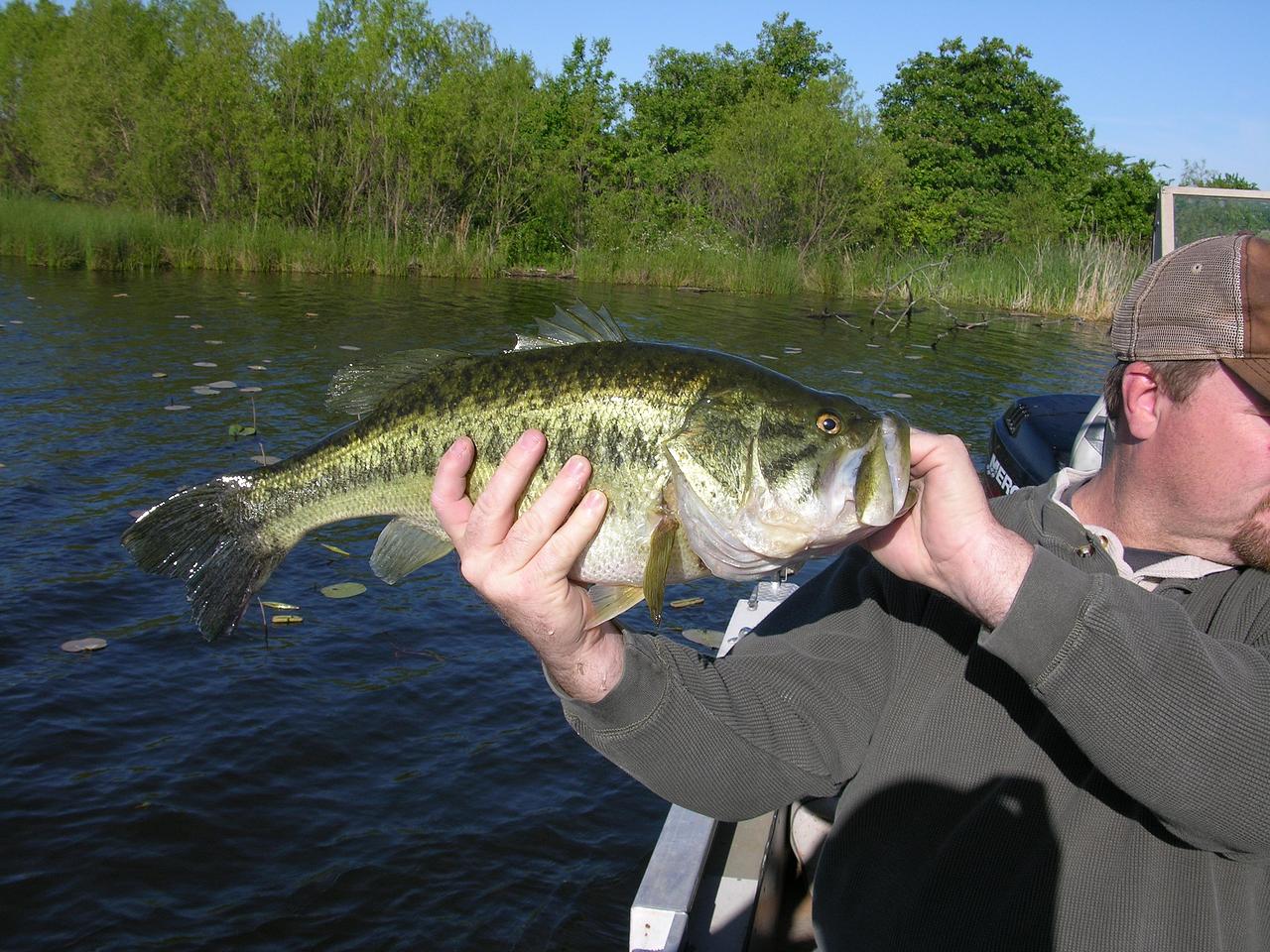 Pond Stocking | Lake Master Pros