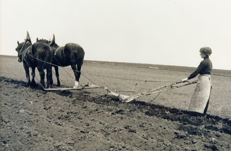 The PLANTING and cultivation of POTATOES: an insight into a Scottish ...