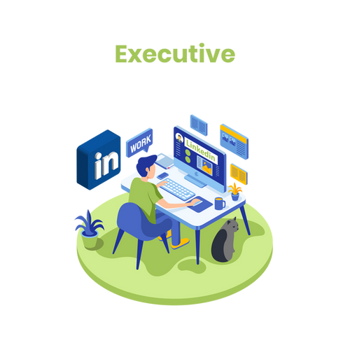 Executive Level LinkedIn Make Over - Best Online Resume Writers