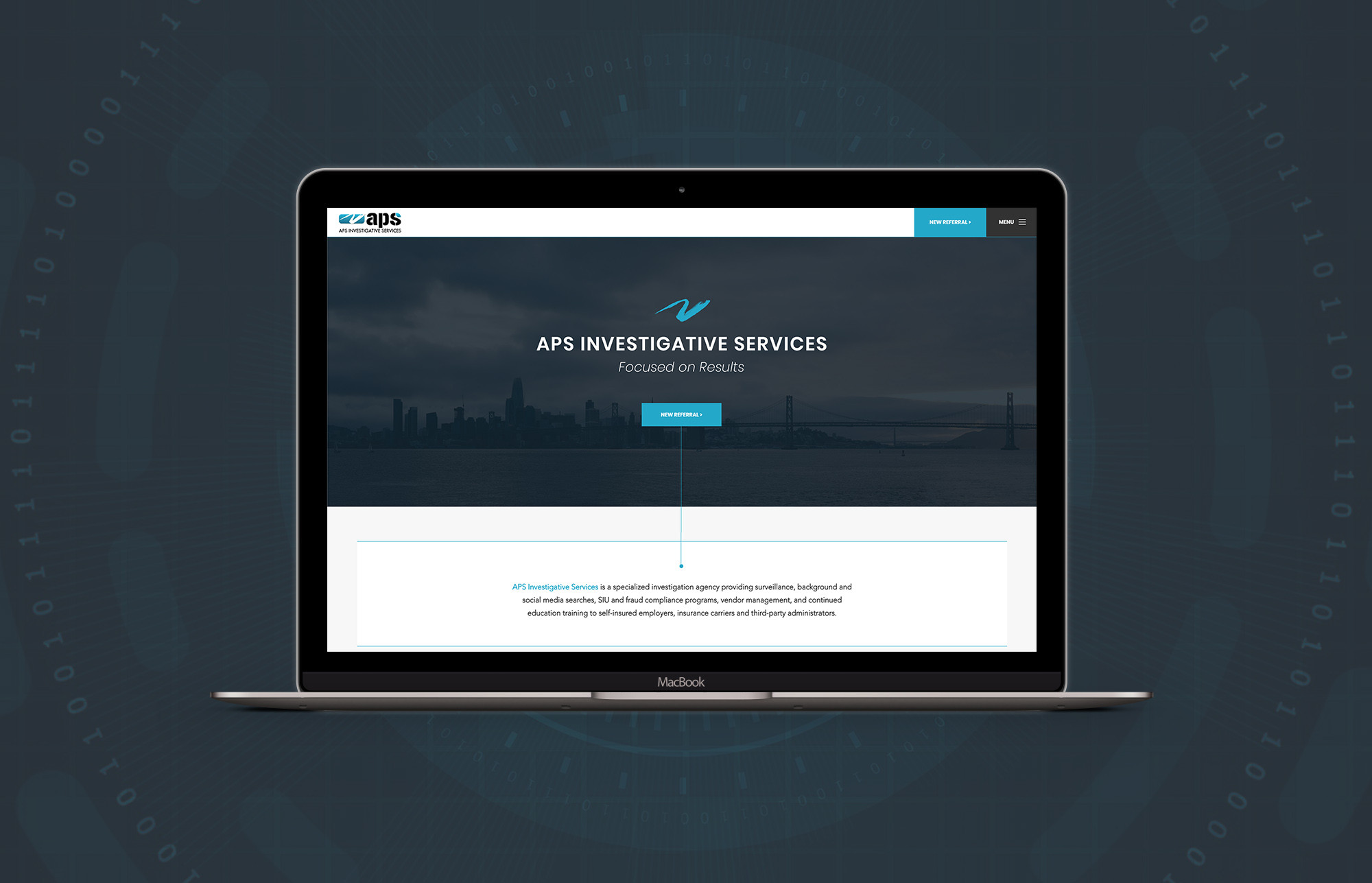 APS INVESTIGATIONS | Hausman Graphics - Web Designer | Glasgow