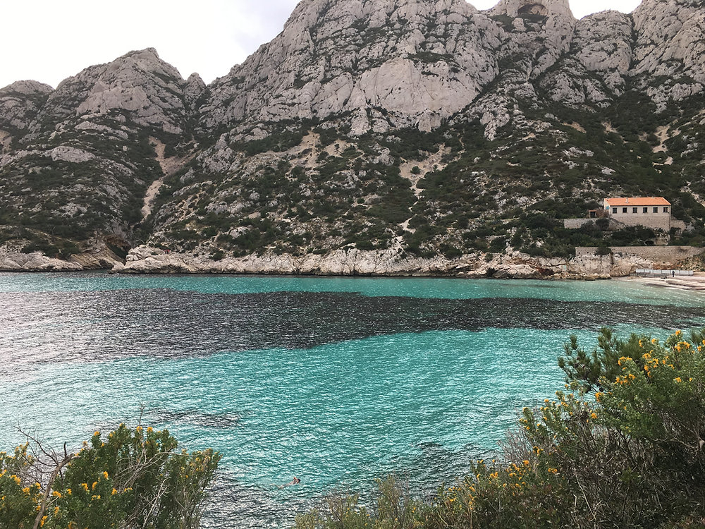 Le printemps en Provence 2019
