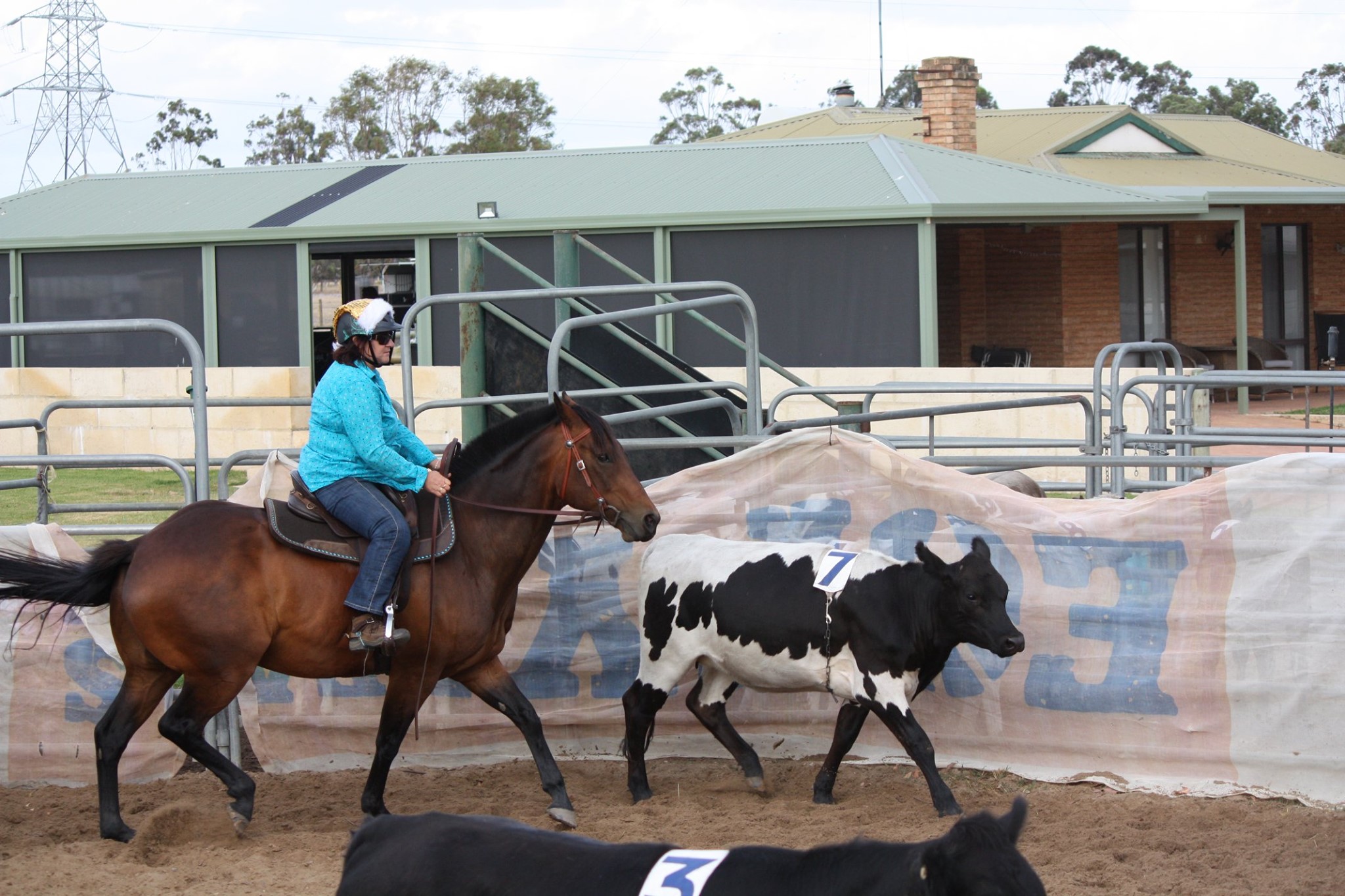 Ranch Sorting | Peel Ranch Sorting and Penning | Australia