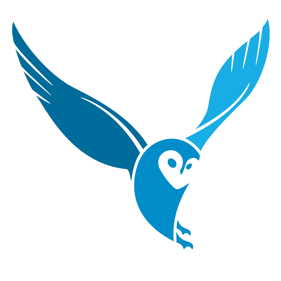 Strix Law | Law Firm