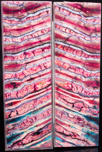 5" x 1.6" Stabilized Mammoth Molar Scales 250951 | Ice Age Crafts