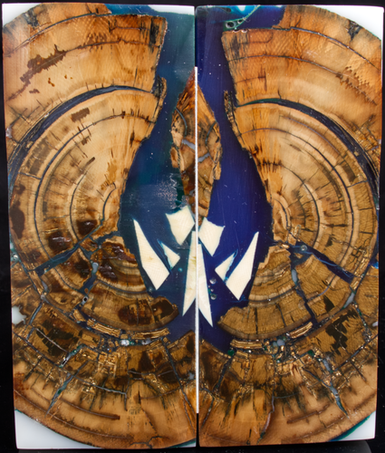 4.8" x 2" Stabilized Mammoth Tusk Cross Cut Scales 250850 | Ice Age Crafts