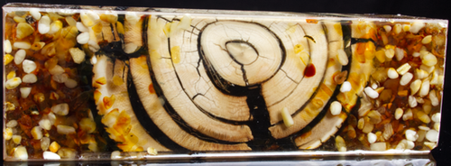 Stabilized Mammoth Tusk and Amber Block 24844 | Ice Age Crafts