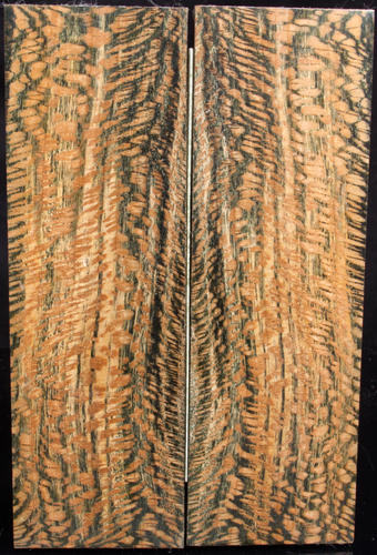 W-10 Stabilized Sycamore Scales 251119 | Ice Age Crafts