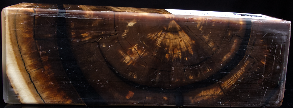 Mammoth Blocks and Slabs | Ice Age Crafts