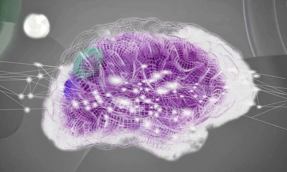 Why is the Science of Learning so Important?