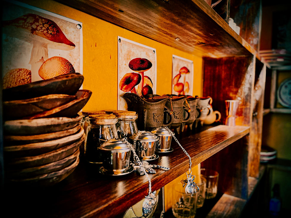 Café Explore - Coffee Shop in Chiloé Island, Patagonia, Chile