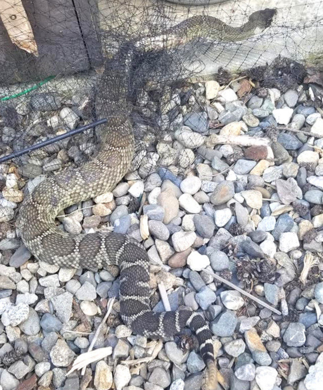 Wildlife & Agricultural netting