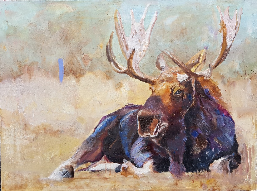 Small Moose oil painting | Joanne Orce oil paintings