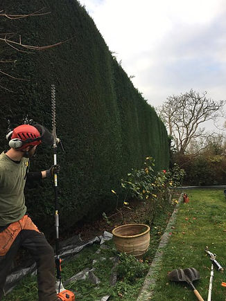 Dan Fordham Tree Care | market harborough | 40 Lubenham Hill, Market ...