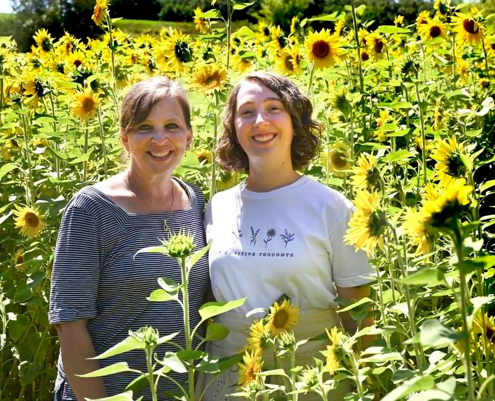 Edith's Farm | Cut Flowers