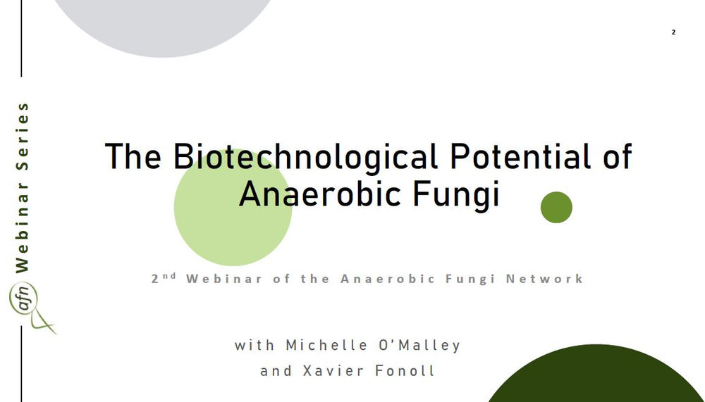 The Biotechnological Potential of Anaerobic Fungi