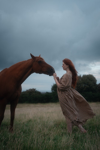 The Olivet Maxi | luna