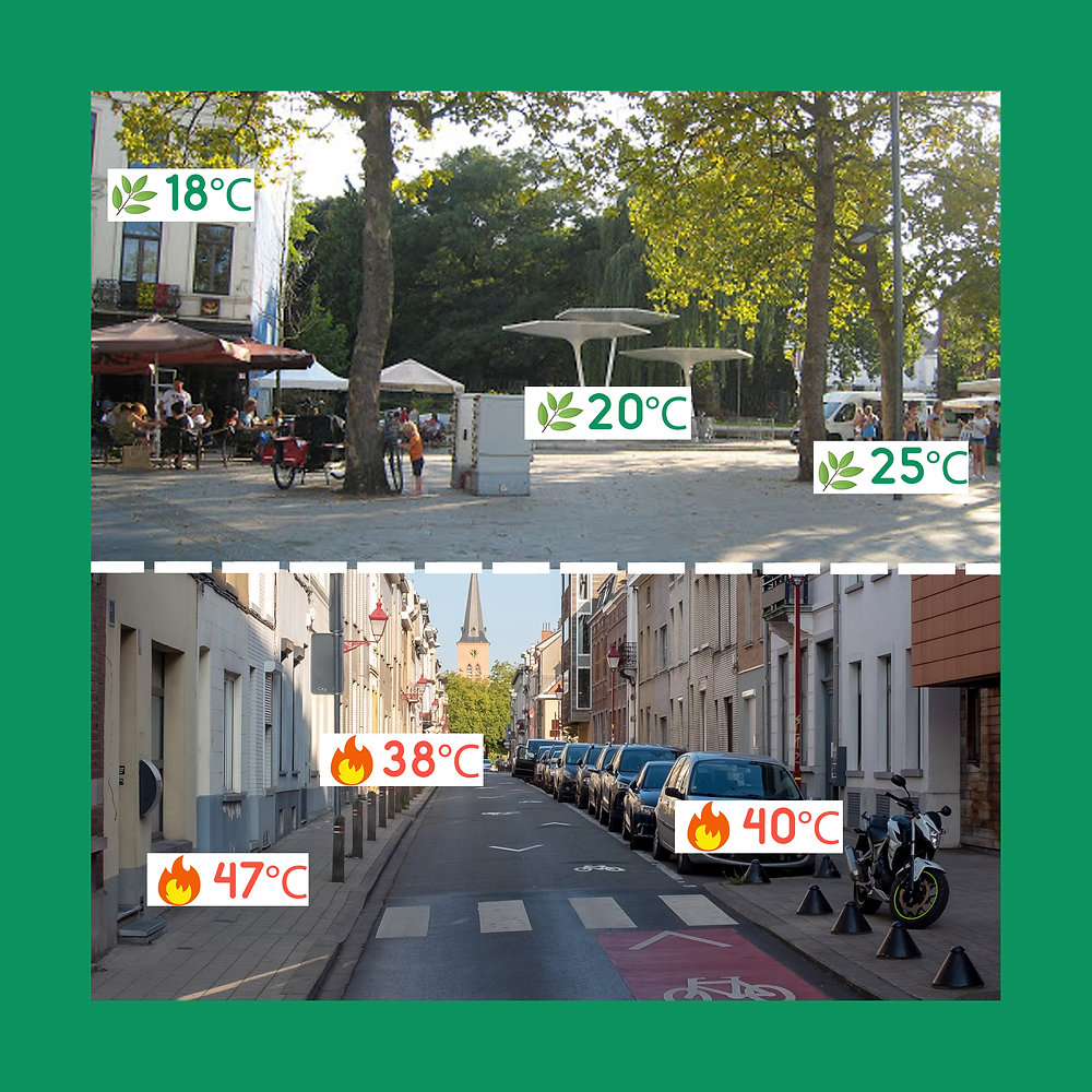 La commune de Jette soutenue par la Région pour la réalisation de son ...