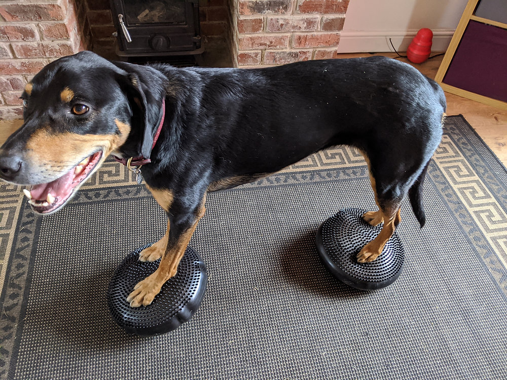 What is Weight Shifting?