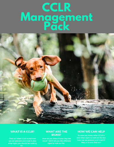 Cranial Cruciate Ligament Rupture management Pack | Fit-Pet Physio
