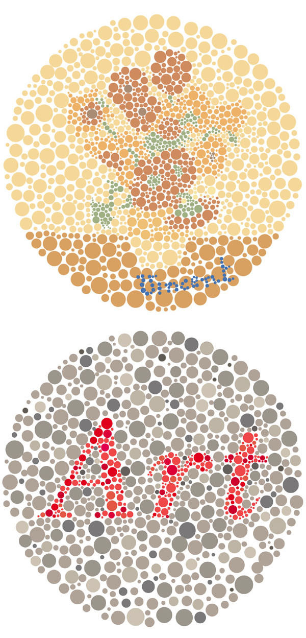 Sussex Arts Marketing | Suki Bains