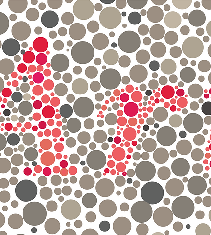 Projects. | Suki Bains