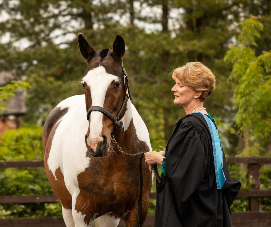 Integrated Assessment | Step By Step Veterinary Physiotherapy