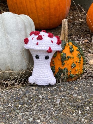 Bleeding Tooth Mushroom Buddy | Mushroom Cottage