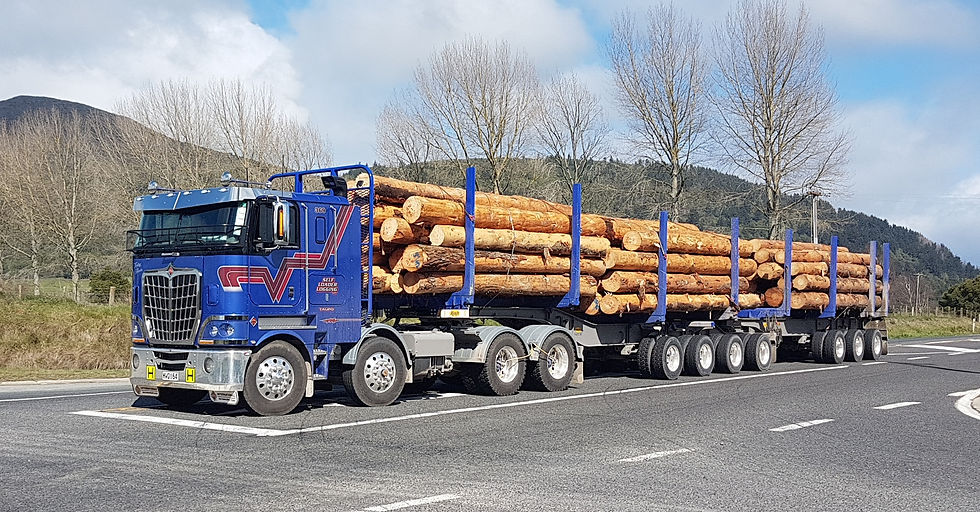 Contact | Self Loader Logging Limited