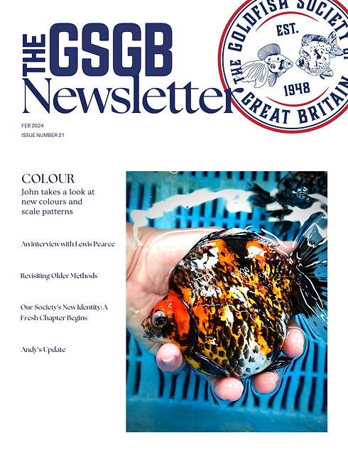 Goldfish Club | Goldfish Society | England