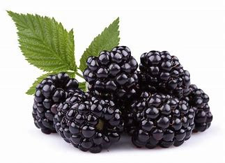 Blackberry - Punnet | Guinea Farms Grocer