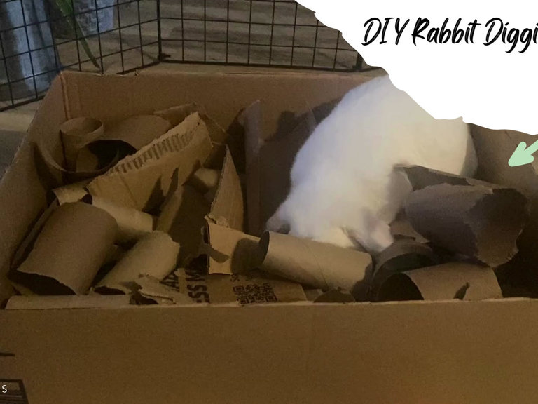 DIY Rabbit Digging Box